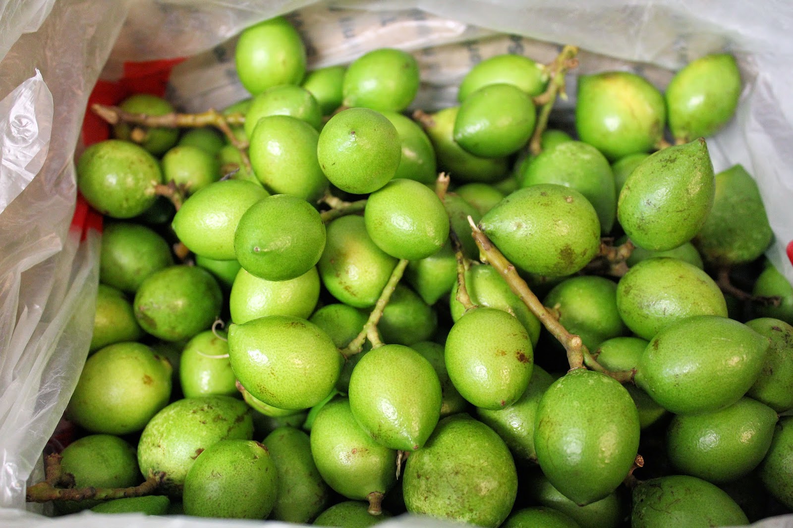 My Angel Princess: Gifts from My Loving Sister