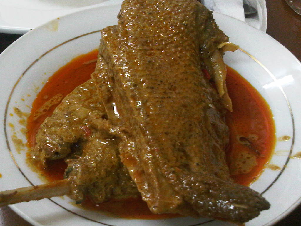 Itik Muscovy/ Itik Nila/ Itik Serati/ Itik Daging ~ Aman BK