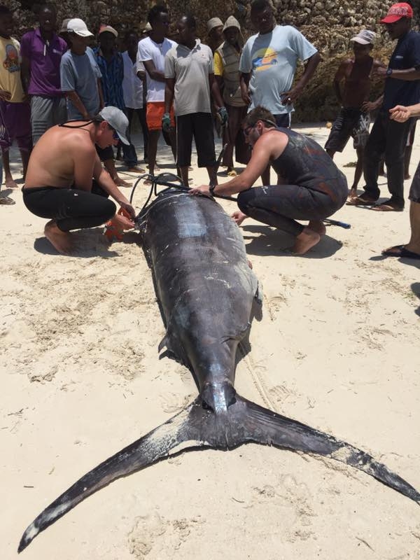 SAMAKI ASABABISHA KIFO CHA MTU MMOJA ZANZIBAR - HABARI MSETO
