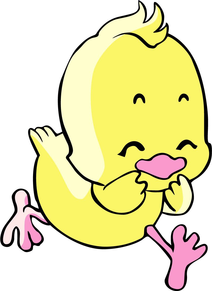 RECURSOS y ACTIVIDADES para Educación Infantil: Imagenes a color: POLLITOS