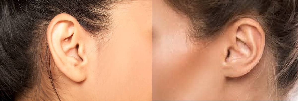 WBBSE CLASS 10 LIFE SCIENCE CHAPTER 3 NOTE