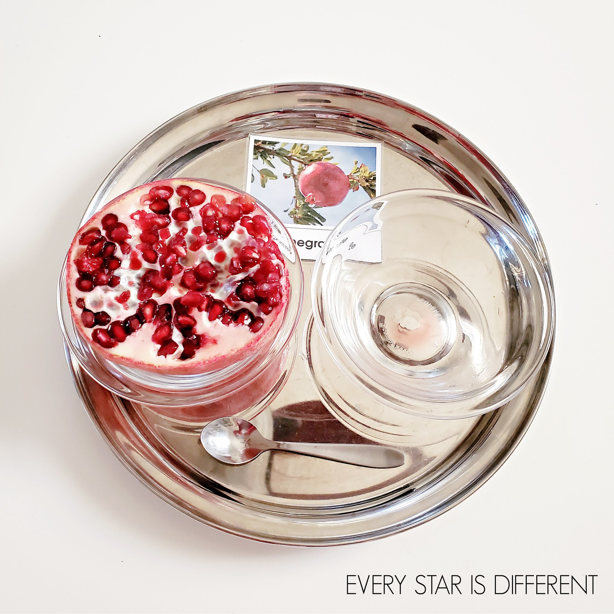 Montessori Chinese New Year Activities for Preschoolers - Every Star Is ...