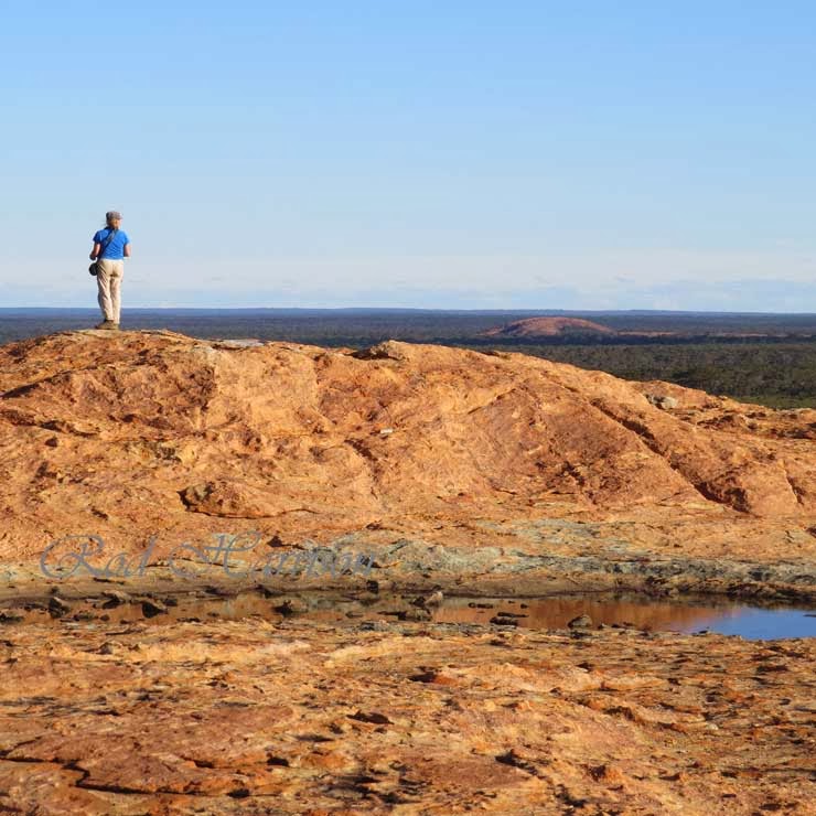Life Images by Jill: On the road through South Australia