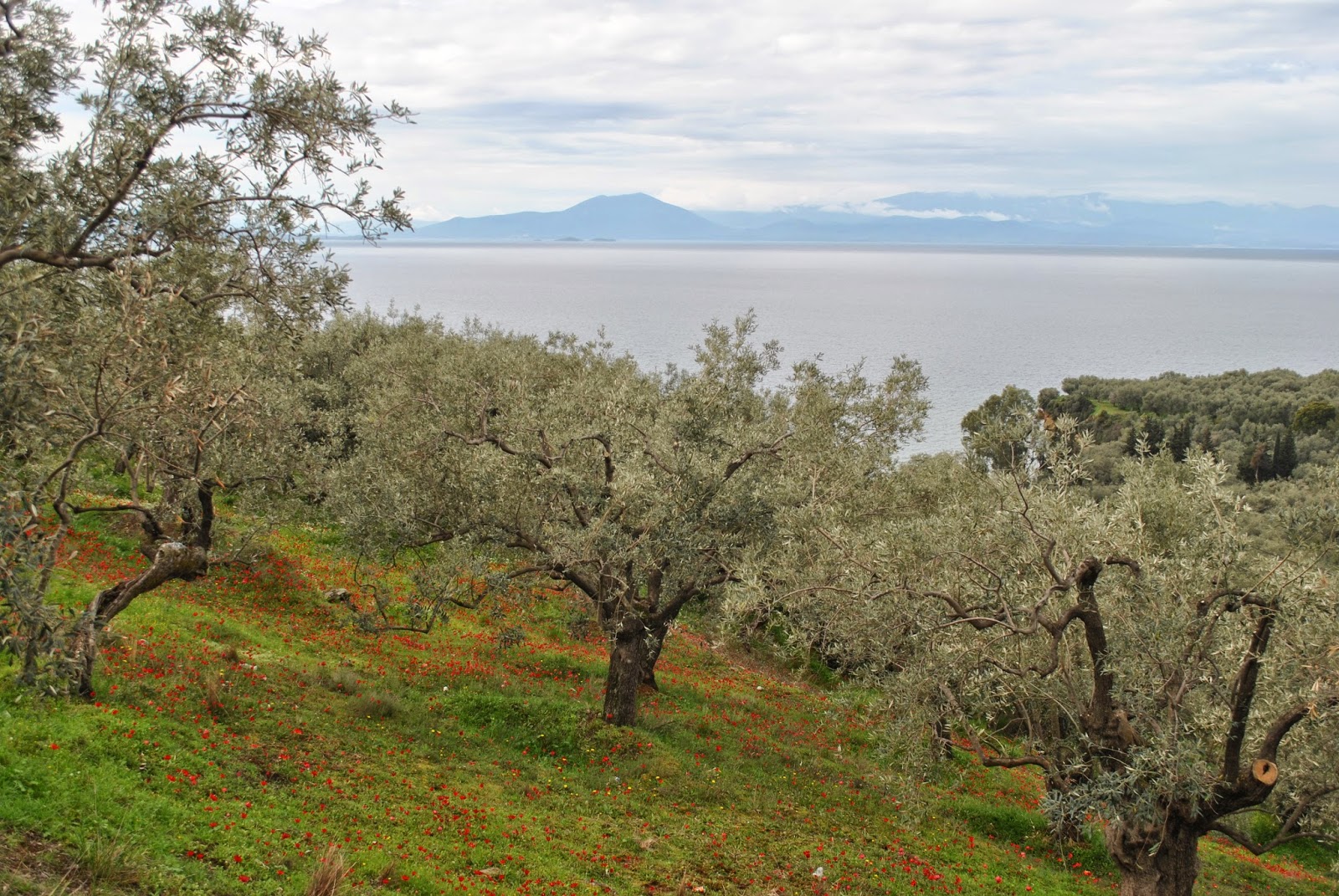 Ελια, του ηλιου η θυγατερα