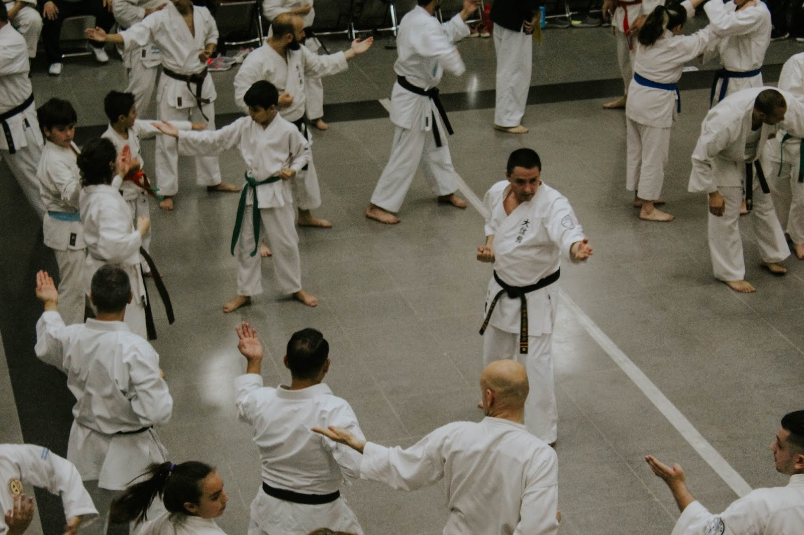 SHORIN RYU TAISHINKAN: OKINAWA SHORIN RYU TAISHINKAN CHIKARA DOJO DE ARGENTINA - RESUMEN ANUAL ...