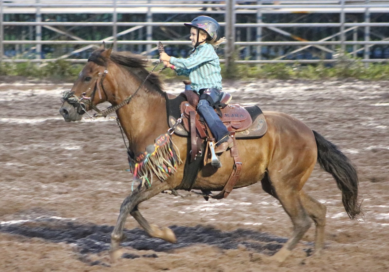 Valley Girl Views: The Benton Rodeo
