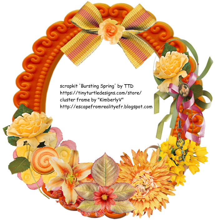 Escape From Reality Blog: FTU 'Bursting Spring' Cluster Frames TTD