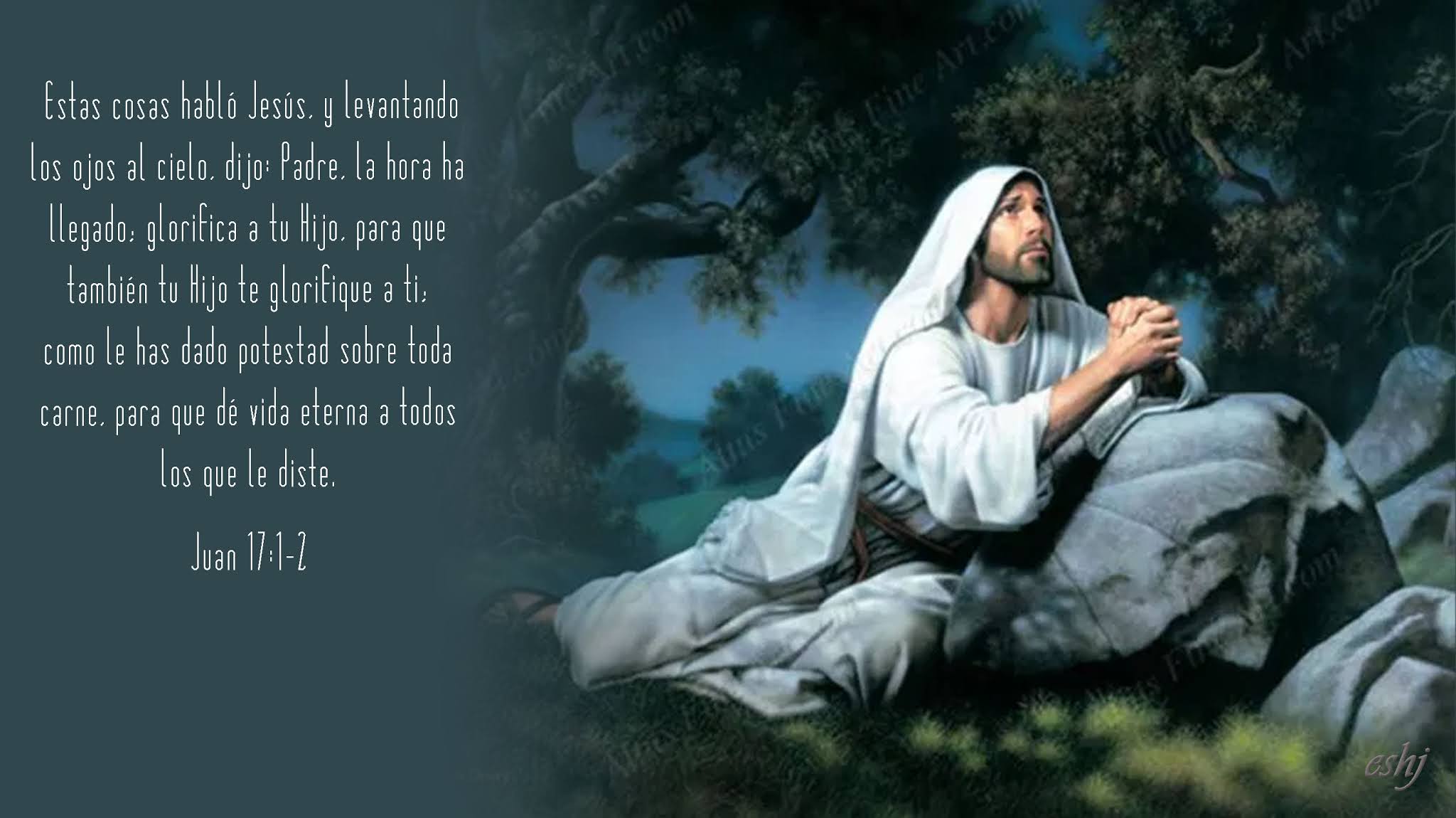 CBA LIBRO DE JUAN CAPÍTULO 17