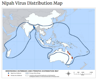 Avian Flu Diary: EID Journal: High Pathogenicity of Nipah Virus from ...