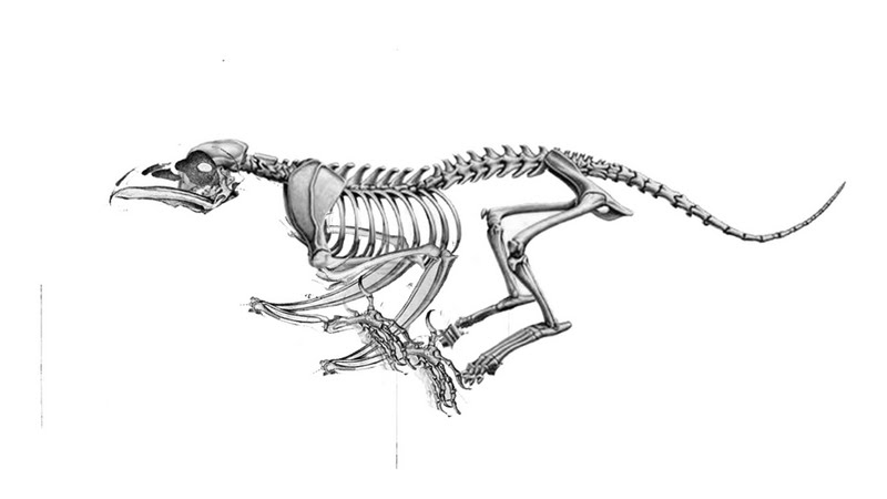 Andriana Laskari's Creative Corner - CG Arts and Animation: Combining ...