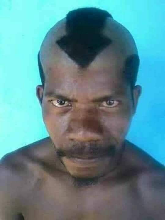 Model cukuran rambut paling lucu di dunia - LAPAK MOBIL DAN MOTOR BEKAS