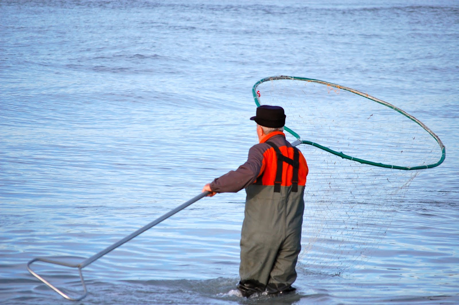 Dog, Dog, Moose: Another First...Dip Net Fishing