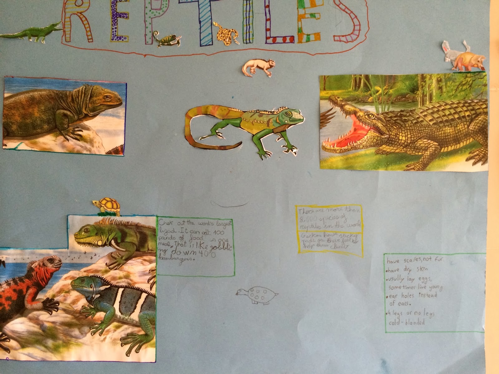 The English Cubby: Vertebrates posters