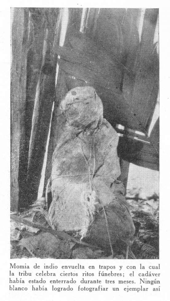 Quantulumcumque: Venturello entre lo indios motilones