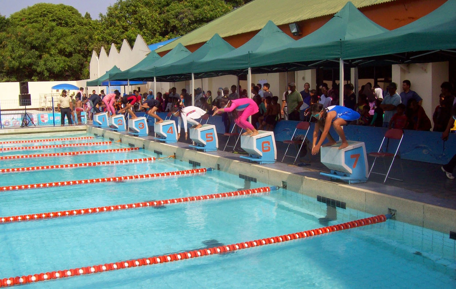 Hasil Kejuaraan Renang Antar Pemakai GOR Ragunan ~ Jakarta Swimming Info