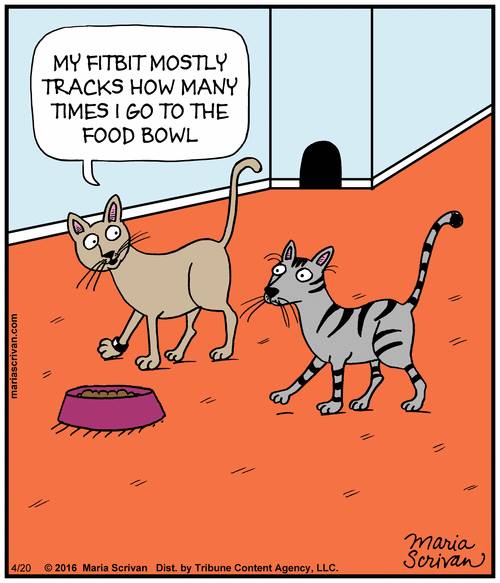 Mystery Fanfare: Cartoon of the Day: Fitbit