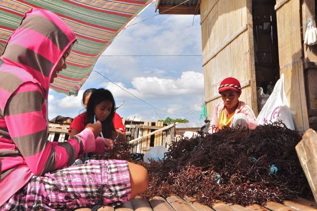 In Pinay's "Ciudad": LAYAG-LAYAG YELLOW BOAT VILLAGE: SEAWEEDS @ ZC ...