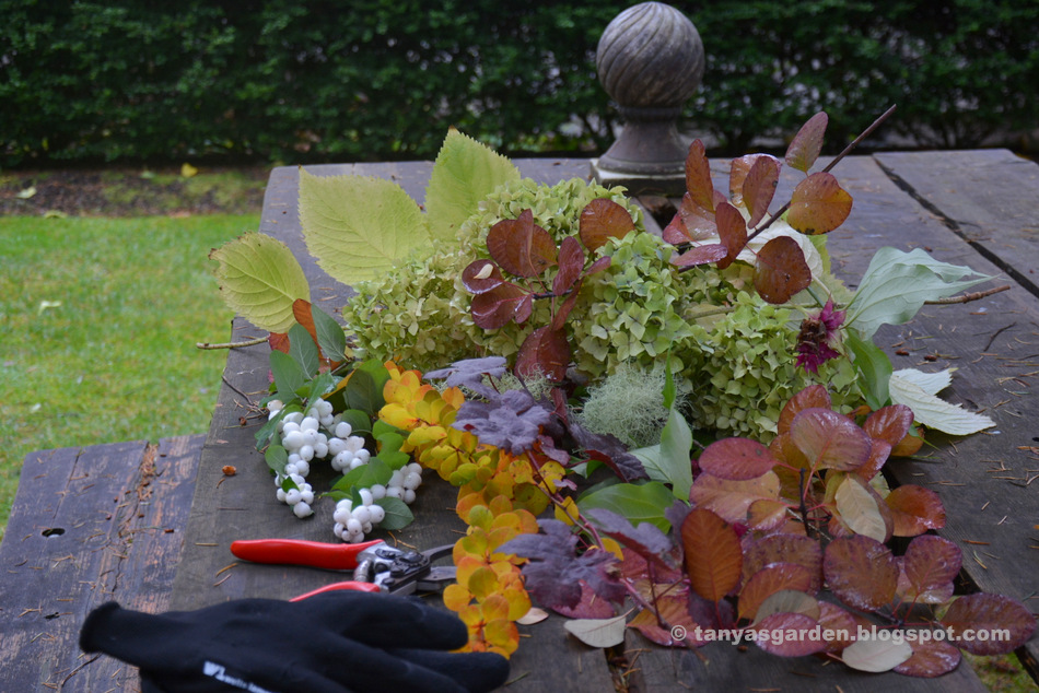 MySecretGarden: Fall Garden Snaps