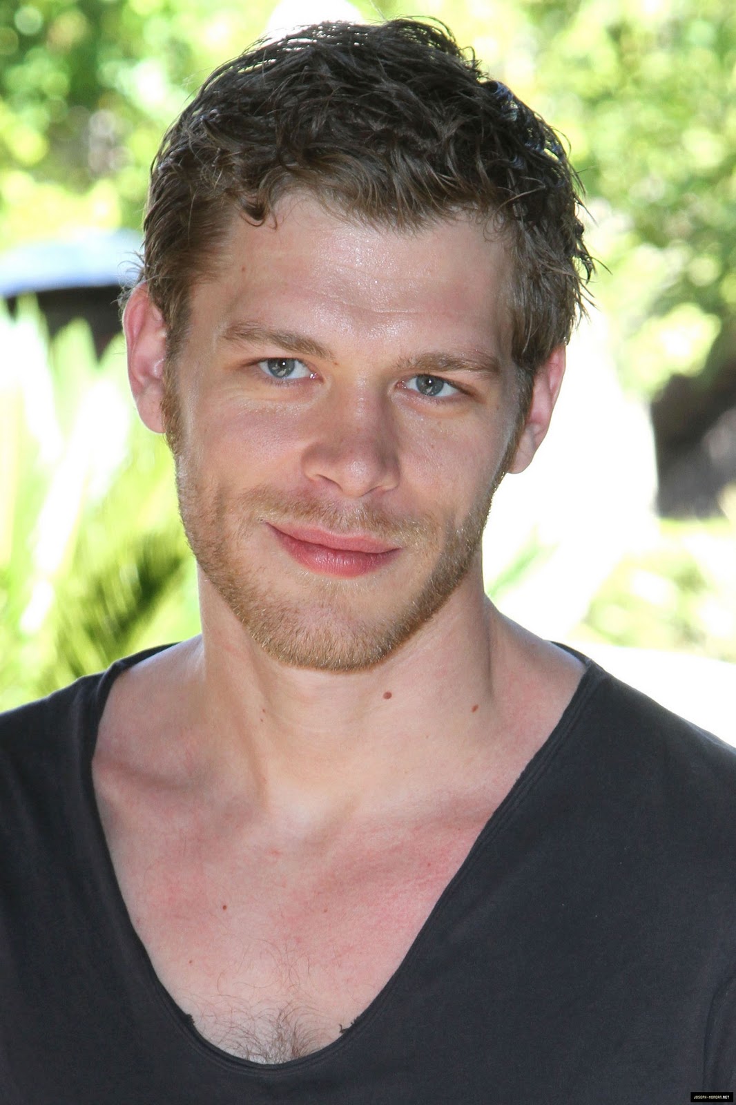 Vampire Diaries Spain: Photoshoot de Joseph Morgan durante el TCA Press ...