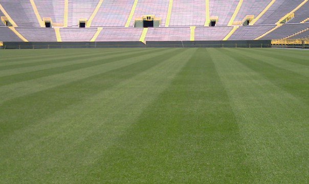 Body by Wii: Day 75C--Lambeau Field