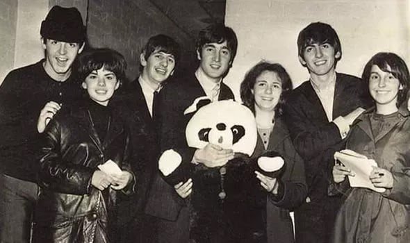 Meet the Beatles for Real: All Thanks to a Panda Bear