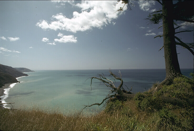 Senari Wallpaper ~ Entertainment Spy