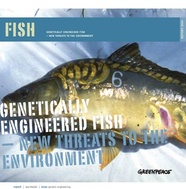 Nature alerte: 02/06/2013...Des poissons OGM toujours plus gros et plus ...