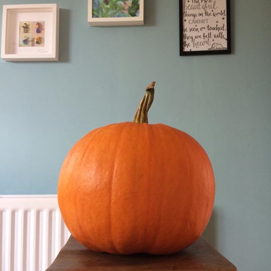 fraise: The Enormous Turnip (Pumpkin)