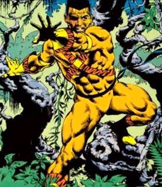 Mayfair DC Heroes Character Database: Bronze Tiger