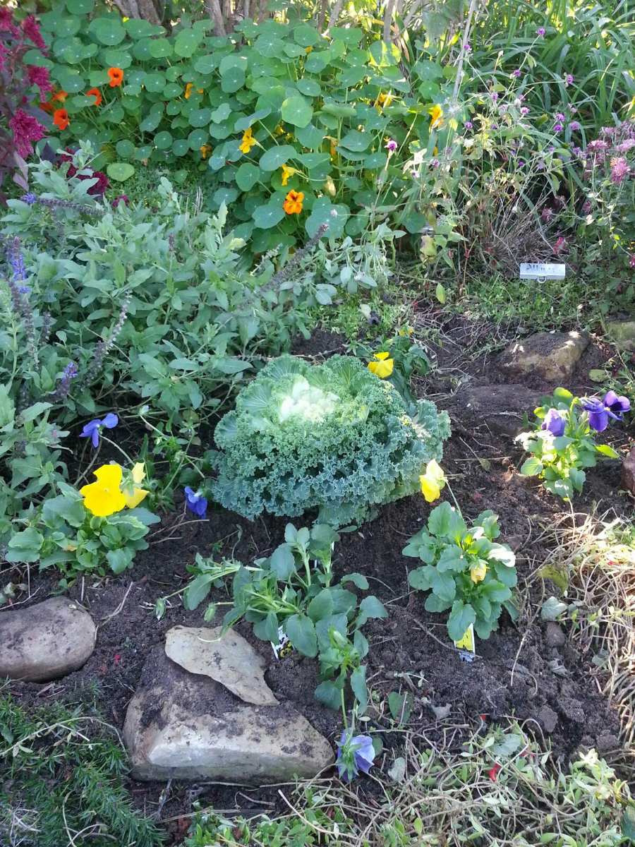 Meet Master Garden Allen Hirst