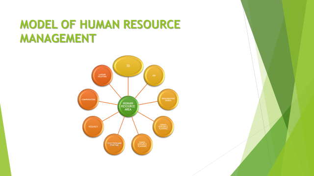 ECONOMICS,COMMERCE AND MANAGEMENT: SYSTEM APPROACH TO HRM