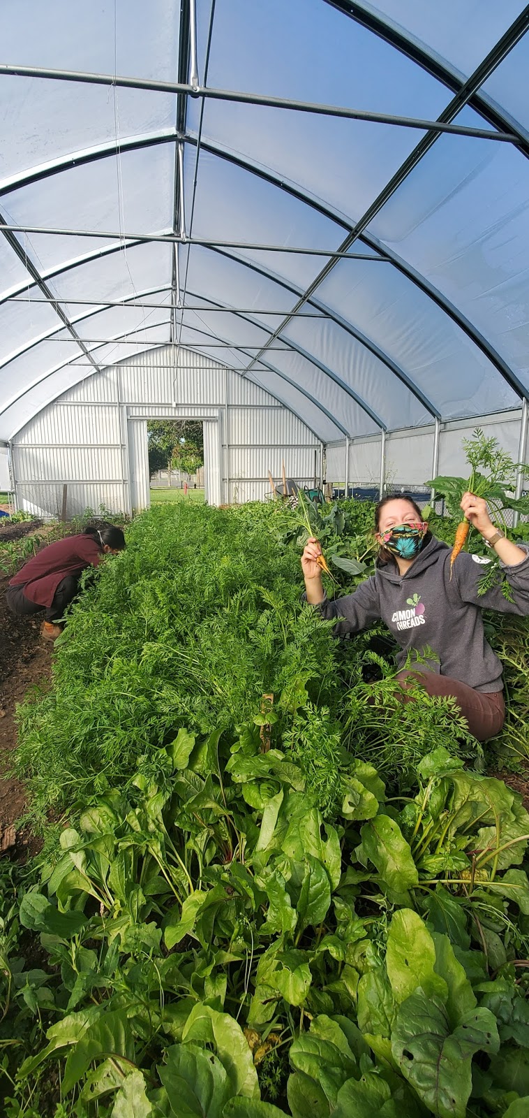 WSDA AgBriefs: Farm to School initiatives awarded over $600,000 in USDA ...