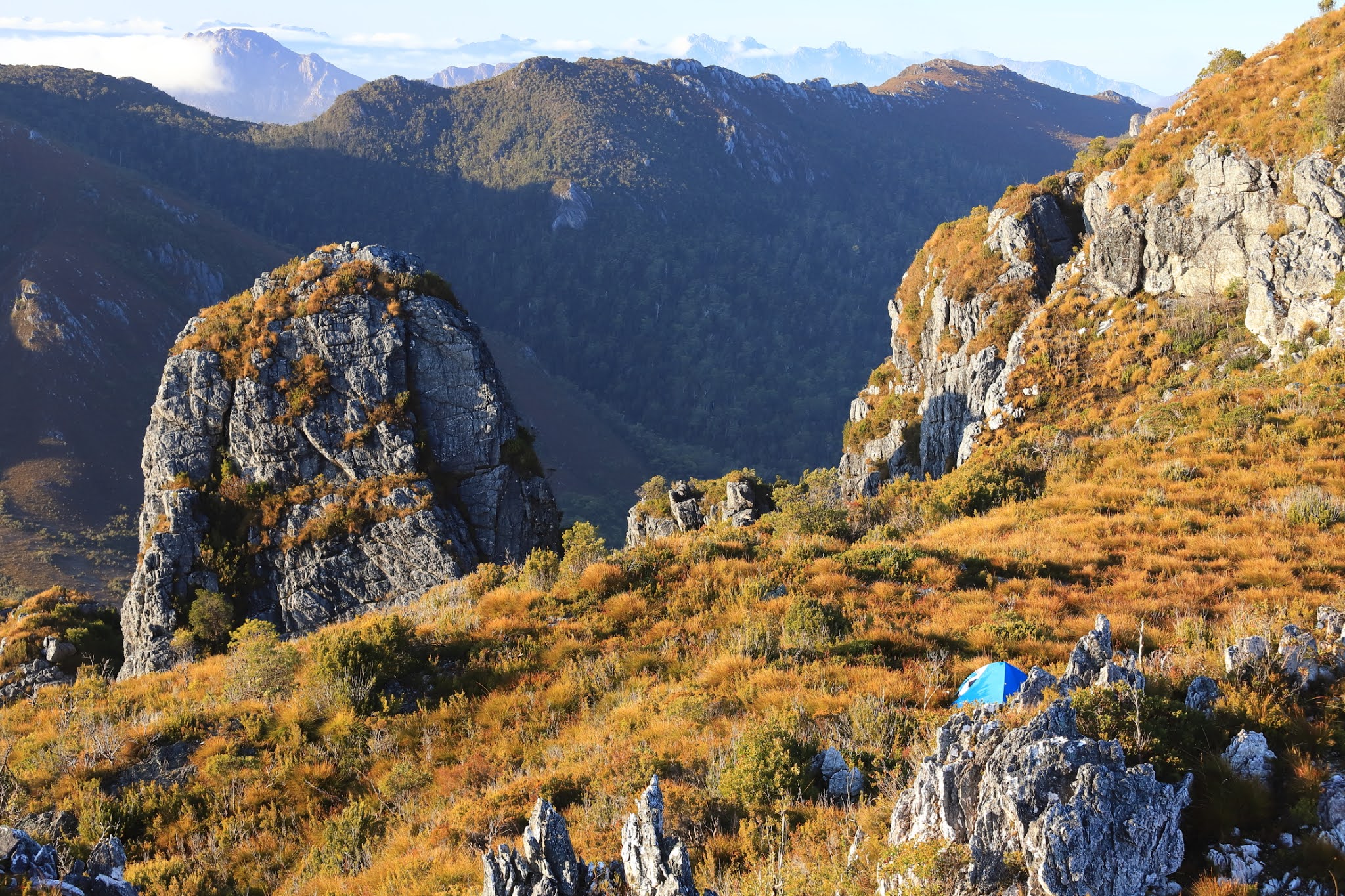 awildland: Standing Guard - The Sentinel Range, Tasmania