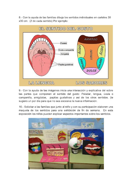 LOS SENTIDOS: "5 AMIGOS PARA APRENDER"