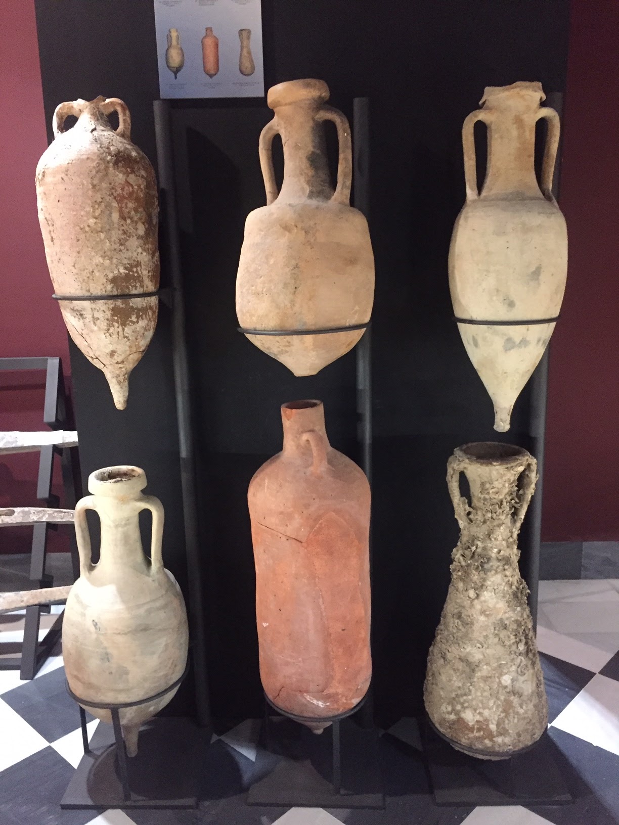 S.P.Q.R.: Los secretos de las ánforas