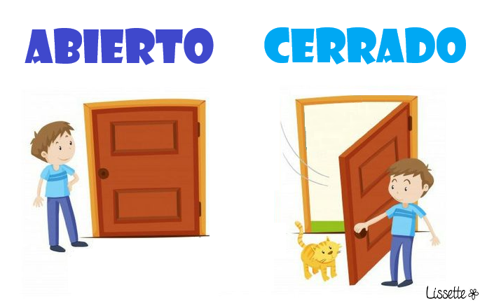 Día 5 - Viernes 05 de junio - ¿ABIERTO O CERRADO? ¿TODOS O ALGUNOS?