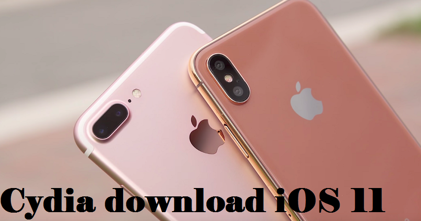 Cydia download iOS 11 related facts