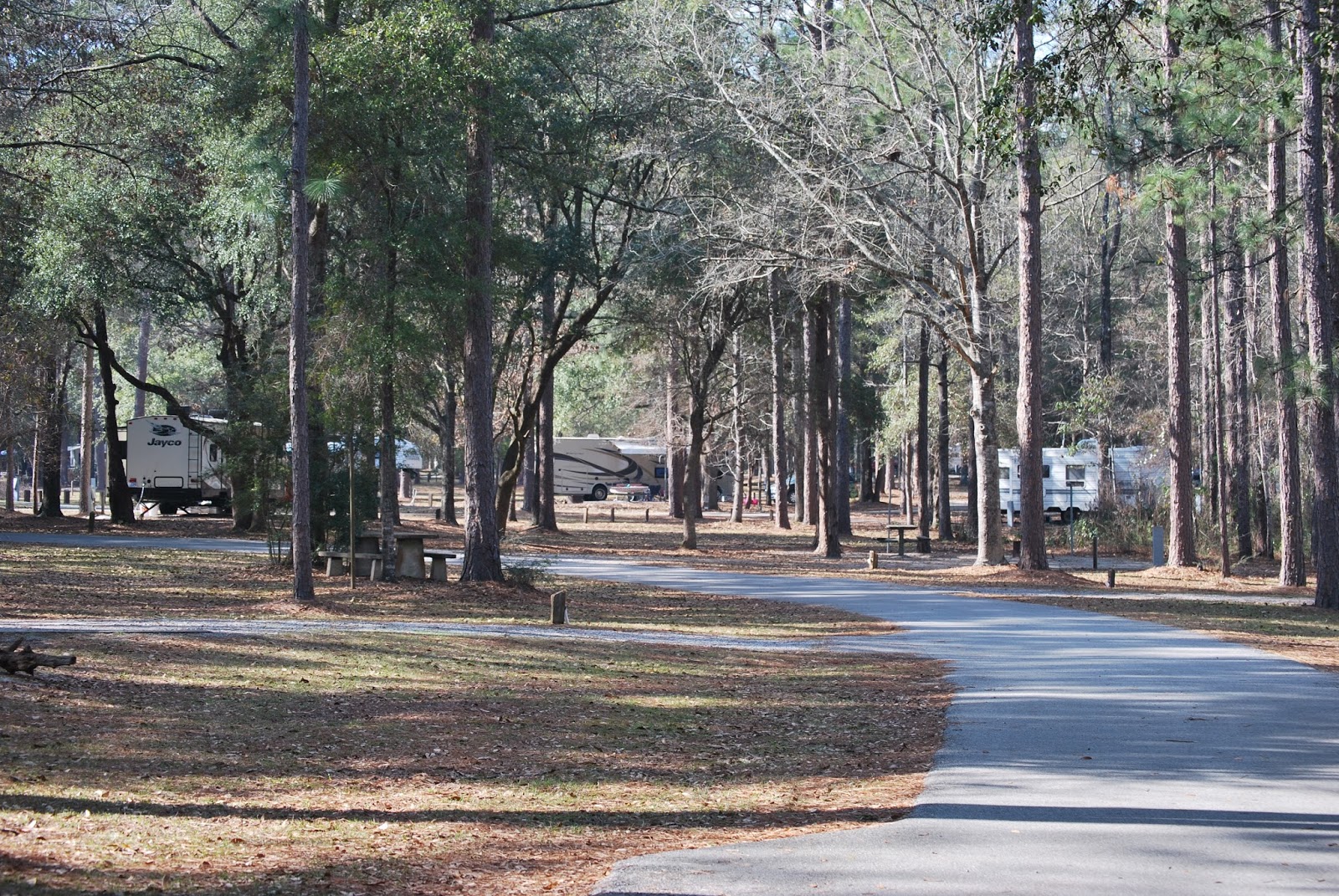 Through the Lens: Open Pond in Conenuh National Forest