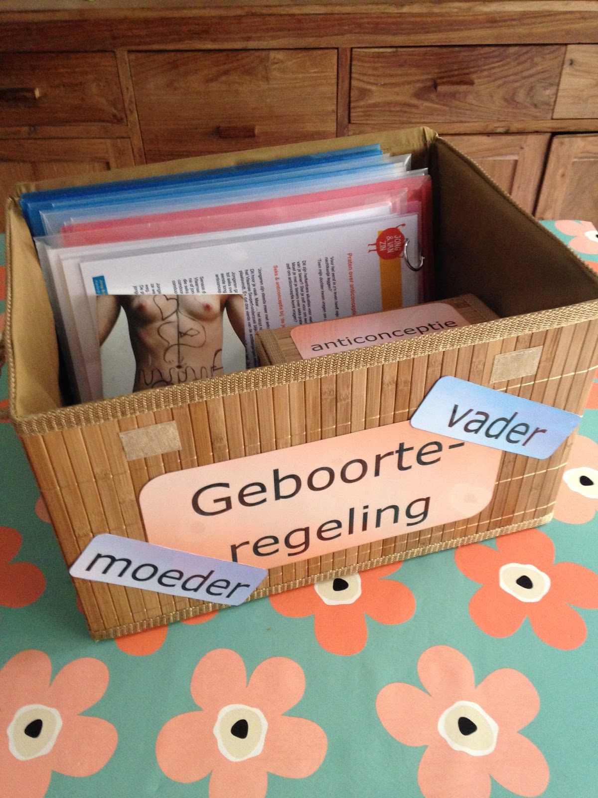 Logboek - Project algemene vakken: Geboorteregeling