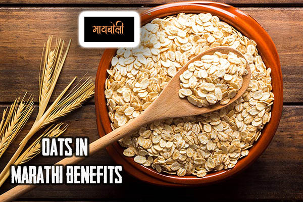 What Are Oats Called In Marathi What Are Oats Called In Marathi