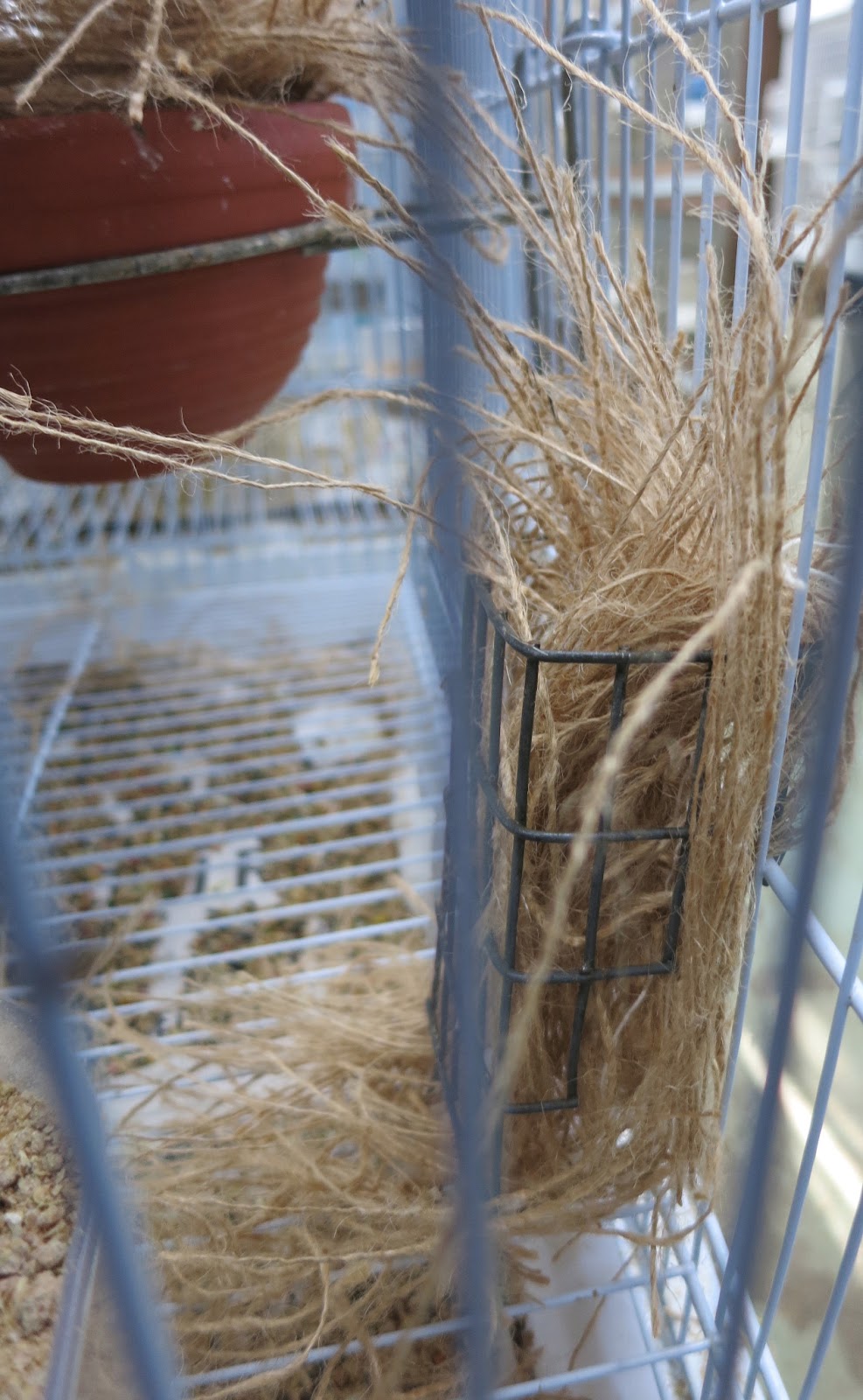 Canary Tales: Handy Nesting Material Holder