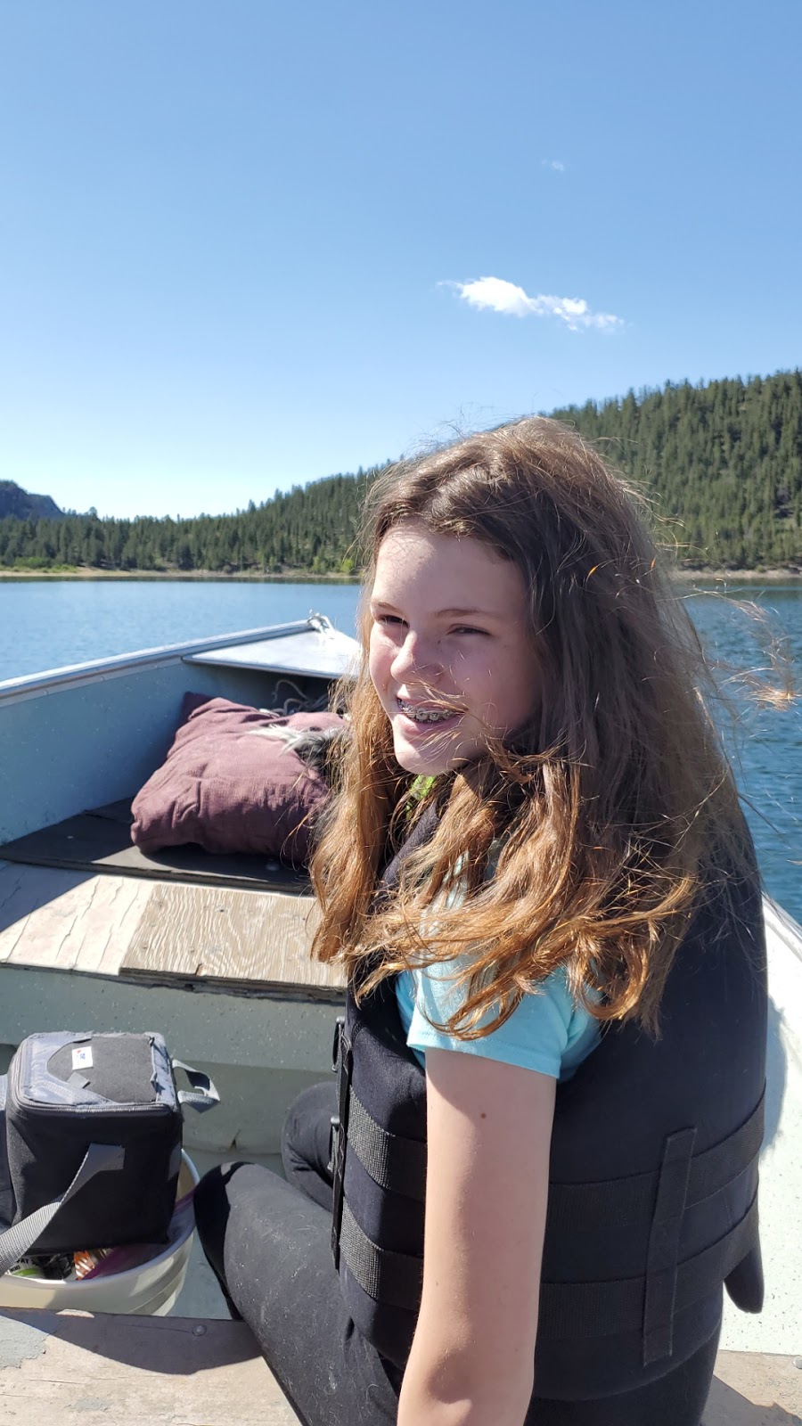 The DeLorme Family: June 2020