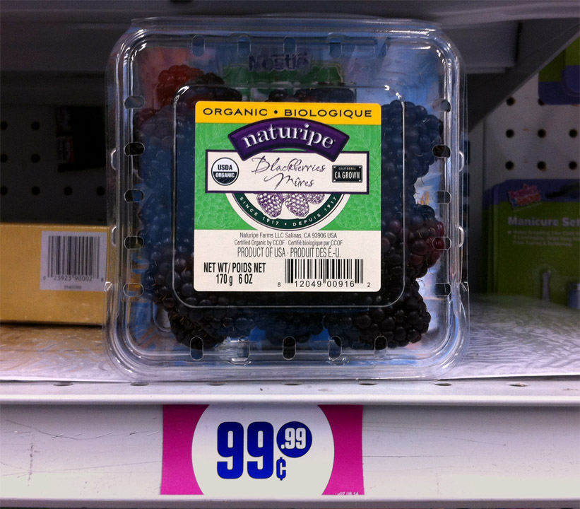 The 99 Cent Chef: January 2021