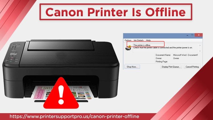 Canon Printer Offline
