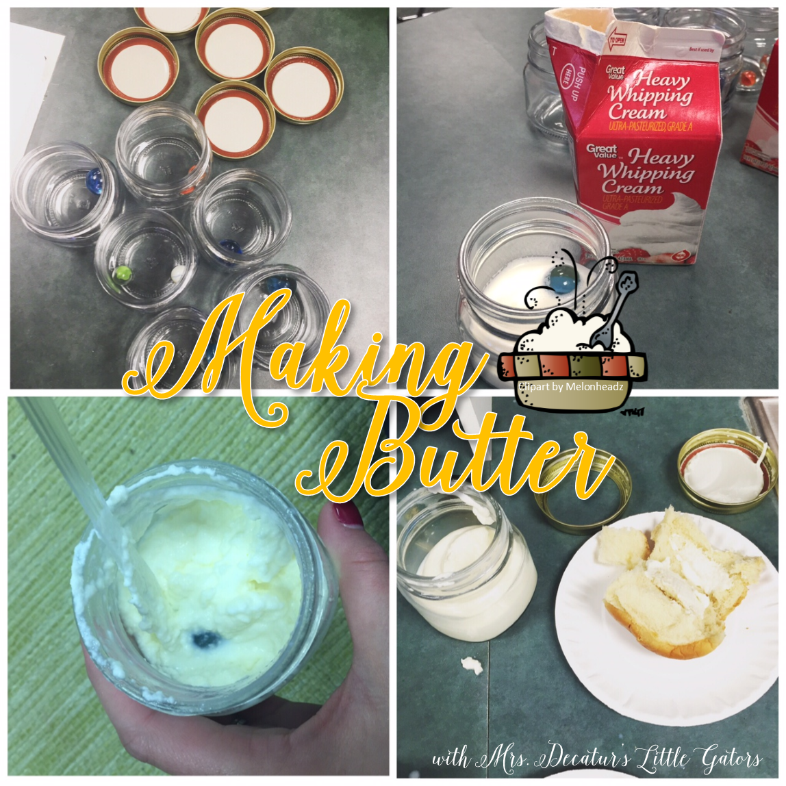 Mrs.Decatur's Little Gators