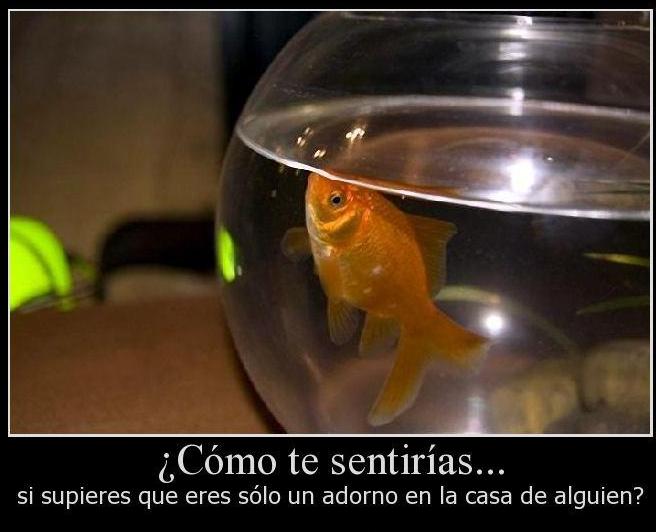 Imagenes tiernos con frases tiernas - Imagui