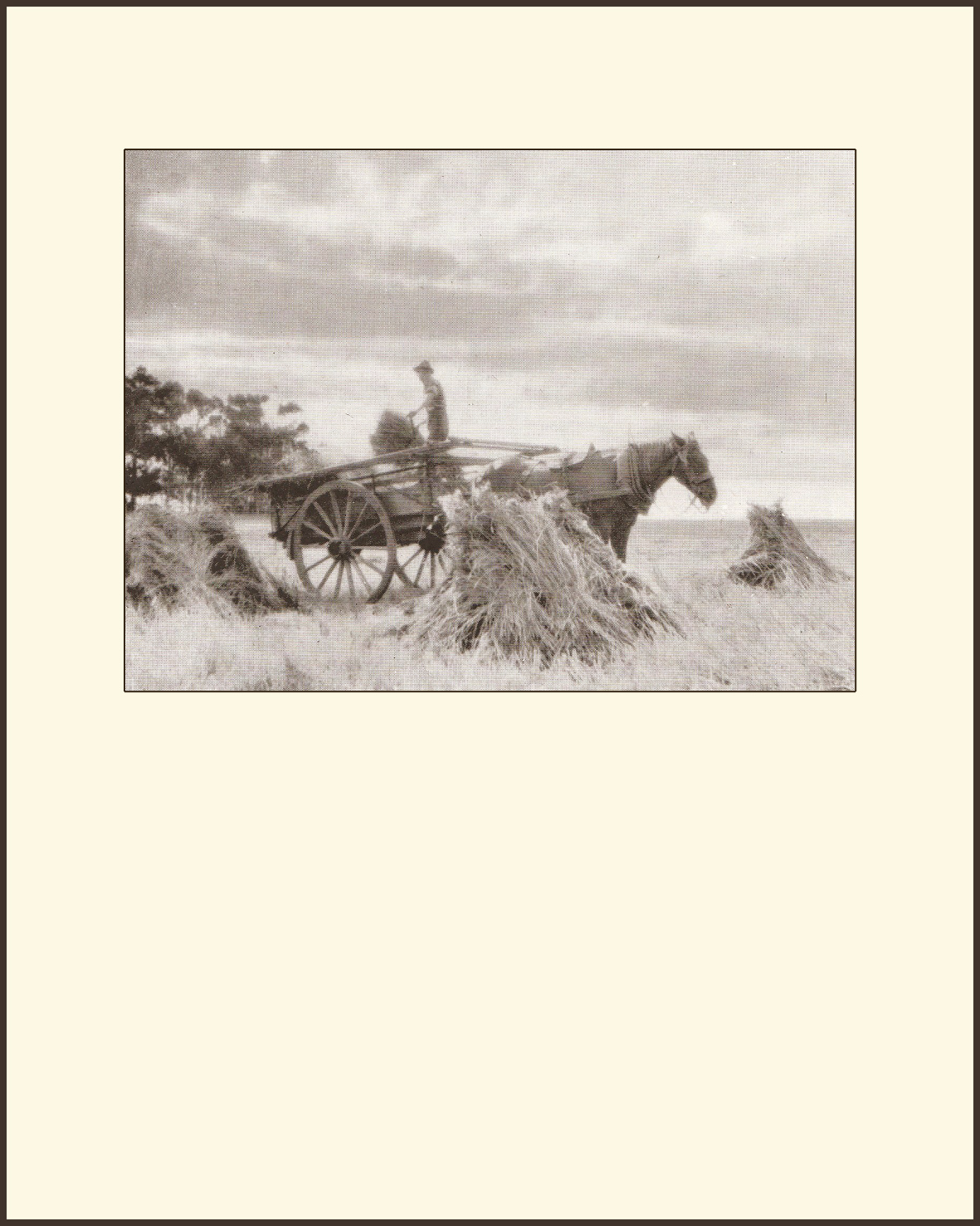 Early New Zealand Photographers: CHANCE, George