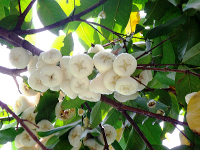 Traveling Morion | Travel + Photography: Morion's PhotoGallery 101 ...