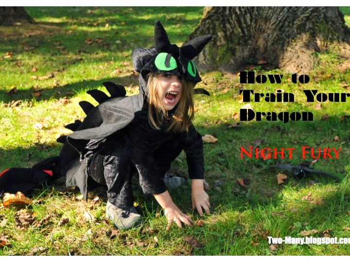 Night Fury Costume