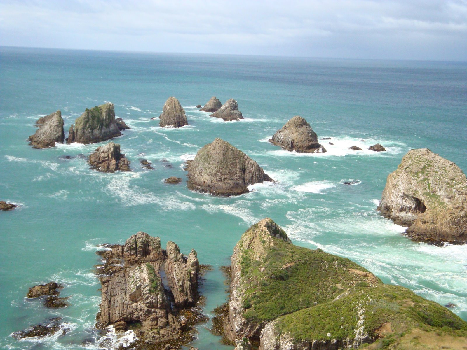 the next cycle: Nugget Point